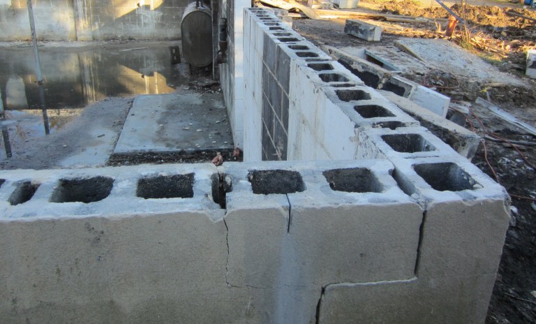 Untitled Document [www.crodog.org]